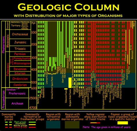 the geologic column