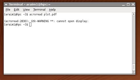 xming can t open display metlinda