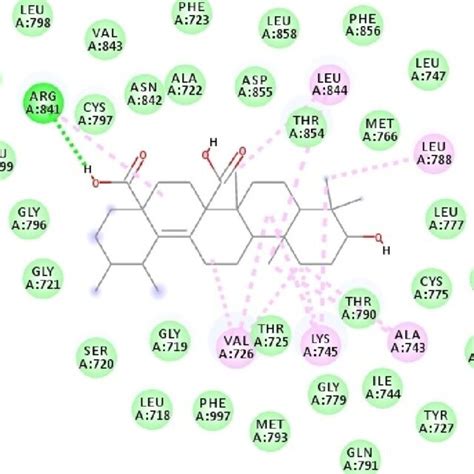 Two Dimensional Binding Conformation Of Positive Control Against The Download Scientific