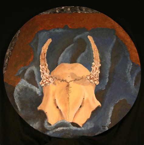 Deer Cranium By Hananymous On Deviantart