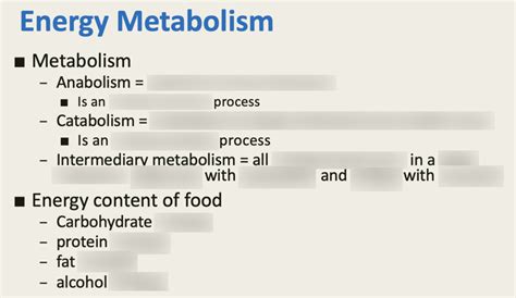 Energy Metabolism Diagram Quizlet