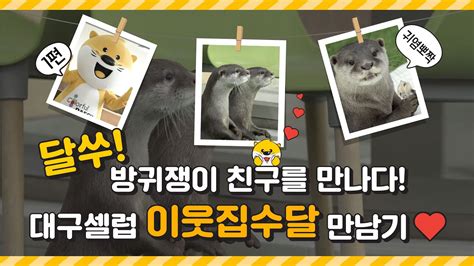 [1편] 달쑤 뿡뿡💨 방귀쟁이 친구를 만나다 Youtube