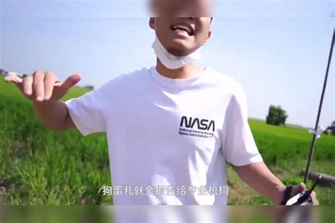 现实生活中发现陆行鲨它跑到岸上来了 陆行