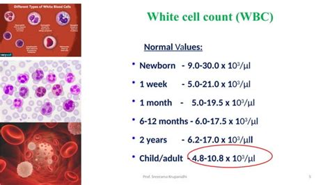 Lecture WBCs And Their Absolute Count Pptx