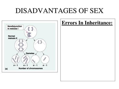 Ppt Meiosis And Sexual Reproduction Powerpoint Presentation Free