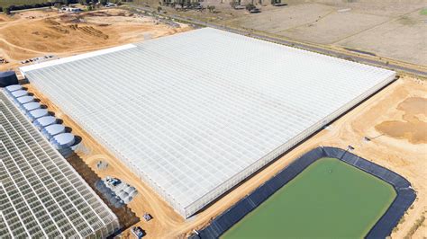 Flavorites Large Scale Greenhouse Apex Greenhouses