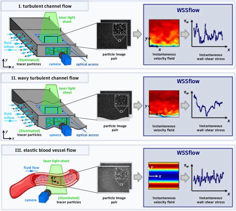 Figure 2 From Uncovering Wall Shear Stress Dynamics From Neural Network Enhanced Fluid Flow