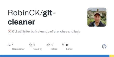 Git Cli Utility For Bulk Cleanup Of Branches And Tags Rgit