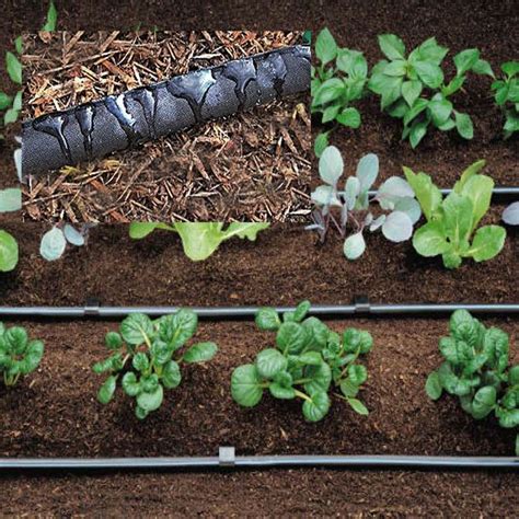Irrigatia Micro Porous Hose • Microgarden