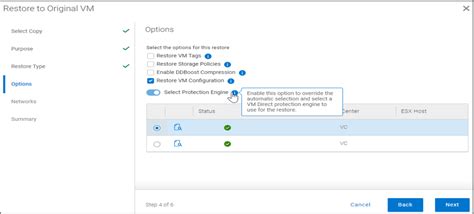 Override Automatic Vm Direct Protection Engine Selection Powerprotect