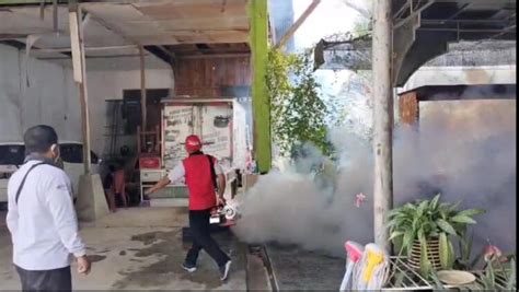 Berantas Nyamuk Penyebab Dbd Dinkes Kendari Lakukan Fogging Di 105 Lokasi Edisi Indonesia