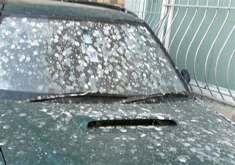 Машин дээрх цайны толбыг хэрхэн хялбар арилгах вэ