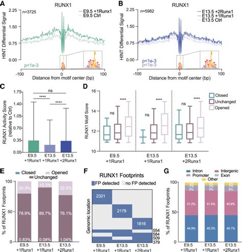 Efficient Hemogenic Endothelial Cell Specification By Runx1 Is