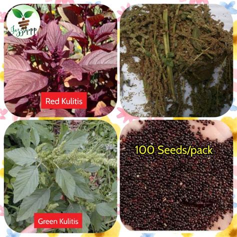 Red Kulitis And Green Kulitis Seeds Amaranth Approx 100 Seeds Shopee