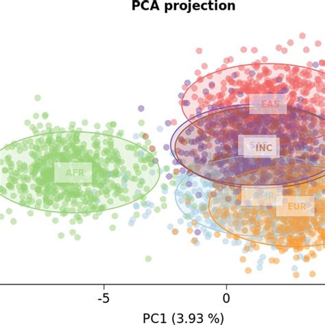 Predicted Y Chromosome Haplogroups In The Central Indian Population Download Scientific Diagram