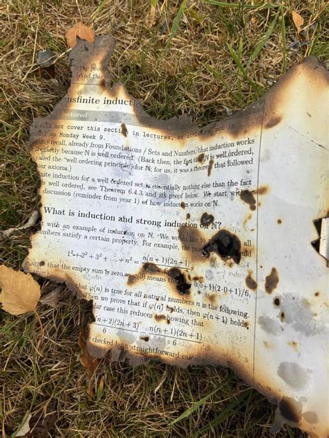 10 Reasons To Love Math Believe It Or Not Math Really Is All… By Photomath Photomath Medium