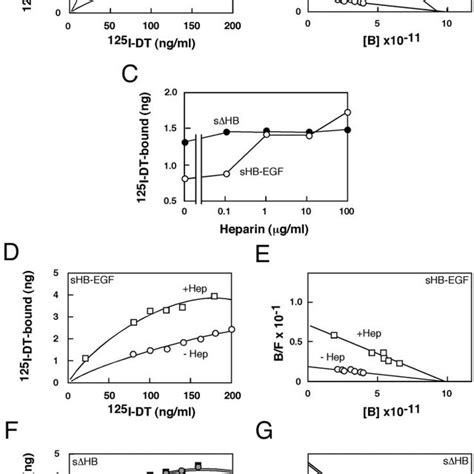 DT Binding To The Membrane Anchored HB EGF And The Deletion Mutant