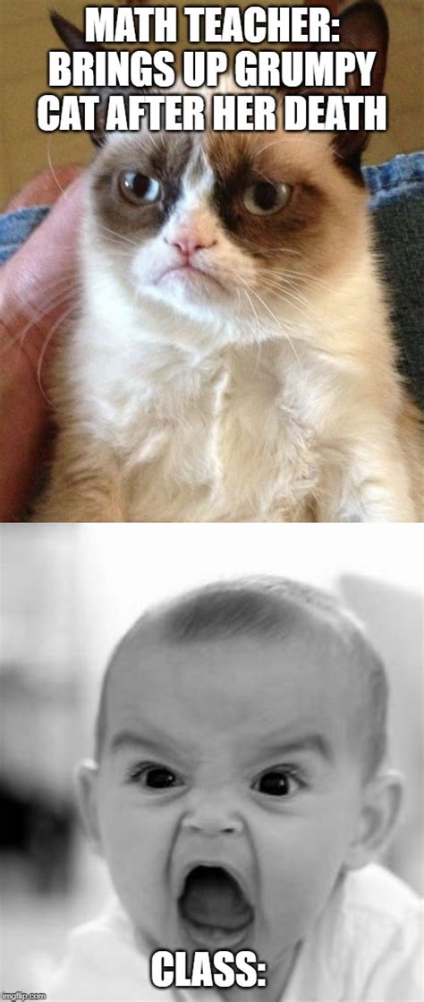 Grumpy Cat Math