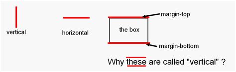 Css Why Margin Top And Margin Bottom Are Called Vertical Margins Stack Overflow