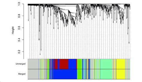 Hierarchical Clustering Tree For Consensus Modules Identified By