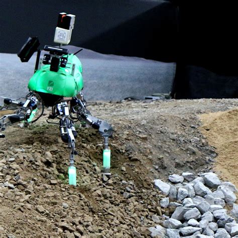 Lauron V Exposed To High Stress Walking Down A Slope 11 Download Scientific Diagram