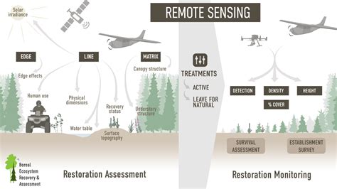 Bera Process Diagrams Boreal Ecosystem Recovery And Assessment
