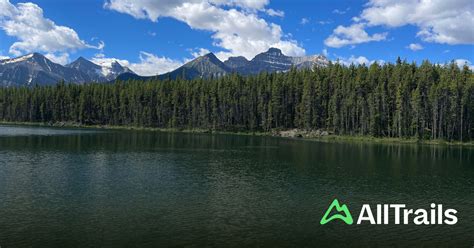 Herbert Lake Die Besten Routen In Der Umgebung Alltrails