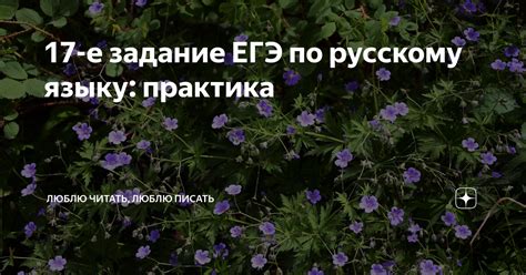 17 е задание ЕГЭ по русскому языку практика Люблю читать люблю писать Дзен