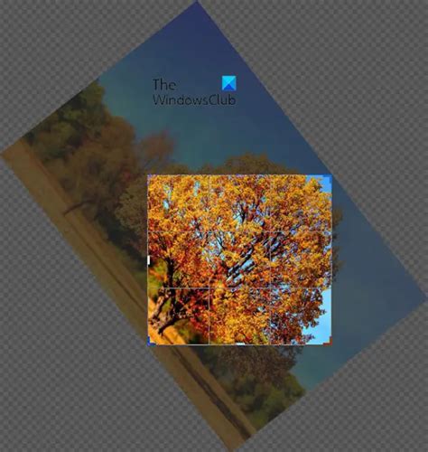 How To Use The Crop Tool In Photoshop To Crop Images