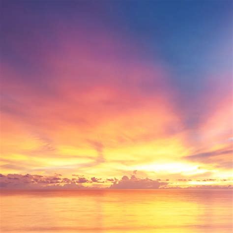 Embrace The New Dawn