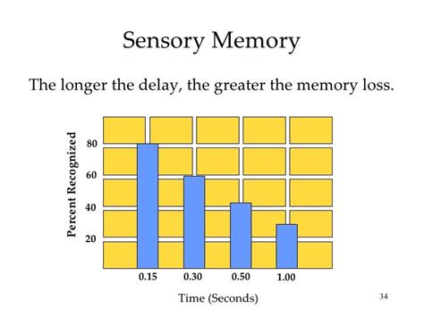 chapter 9 ap psych memory