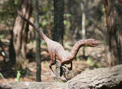 Compsognathus Habitat A Jurassic Archipelago Dinopit Com