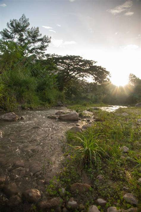 Clairin Sajous The Spirit Of Haïti