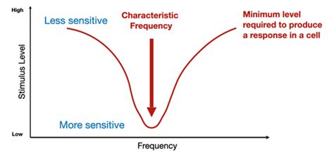Midterm 2 Hearing Science Masking And Critical Bands Discrimination
