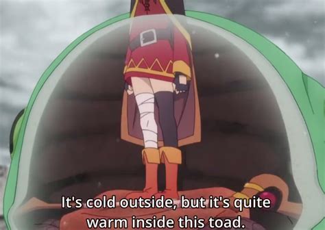 Furry Irl R Furry Irl