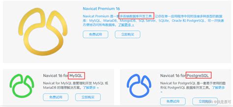 Navicat和mysql的安装navicatformysql永久许可证 Csdn博客