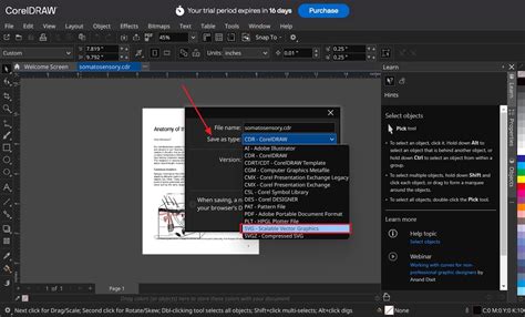 Learn How To Convert PDF To Vector Format Detailed Guide