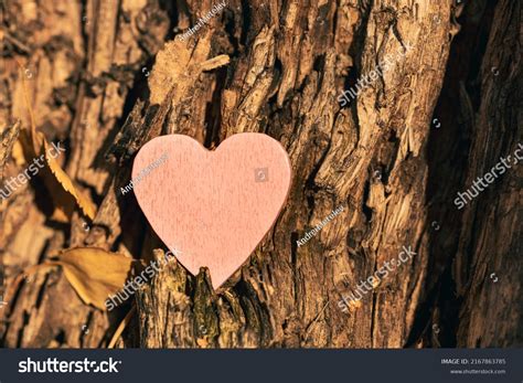 10 611 Tree Trunk With Heart Images Stock Photos Vectors Shutterstock