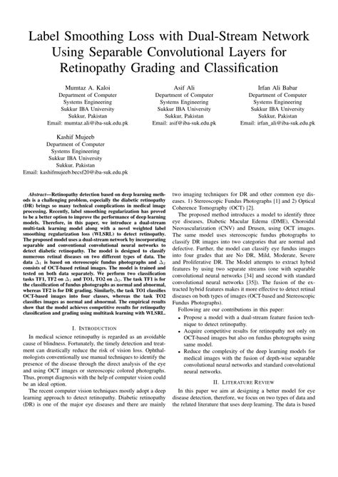 Pdf Label Smoothing Loss With Dual Stream Network Using Separable Convolutional Layers For
