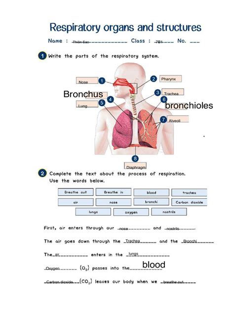 Grade 7 Work Sheetchap1 Pdf