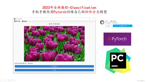 【2023 Pytorch 分类教程】手把手教你使用pytorch训练自己的分类模型怎么用pycharm训练模型 Csdn博客