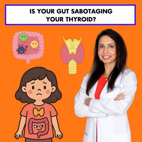 4 Gut Triggers That Wreck Thyroid Function • Oc Integrative Medicine