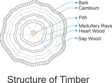 Bricks And Timber As Building Materials A Guide CivilHacks