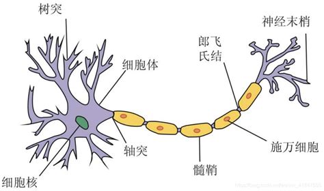 基于bp神经网络的pid自适应控制——simulink平台（详细分析过程完整代码仿真结果）一simulink中bp神经网络 Csdn博客
