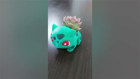 핫한 이상해씨 화분 다육이 Youtube