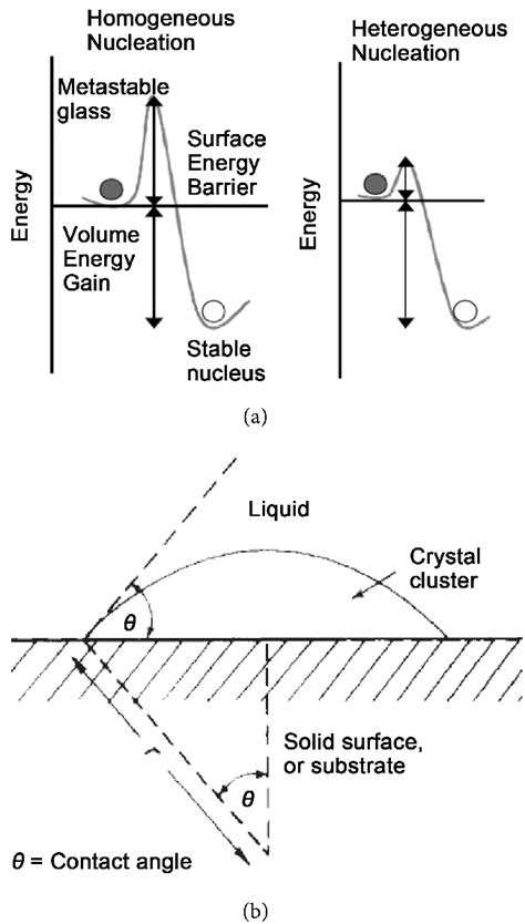 A Illustration Showing A Comparison Of Free Energy Barrier Between Download Scientific