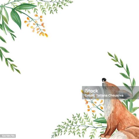 수채화 사각 숲 프레임 아기 여우 고사리 녹색 나뭇가지 흰색 배경에 분리된 노란색 야생화와 테두리 손으로 그린 식물 그림입니다