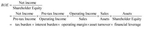 Automated Return On Equity Analysis With The Dupont Formula