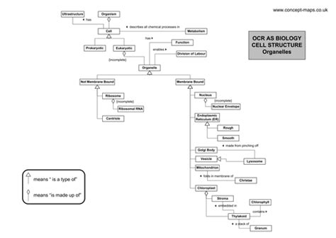 Ocr As Level Biology Cell Structure Teaching Resources