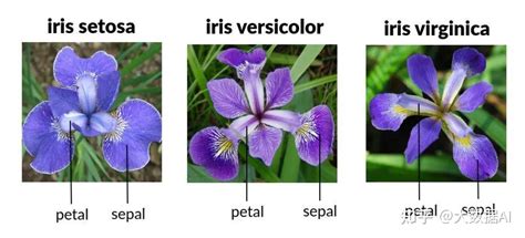 从零开始：scikit Learn决策树分类实战 知乎